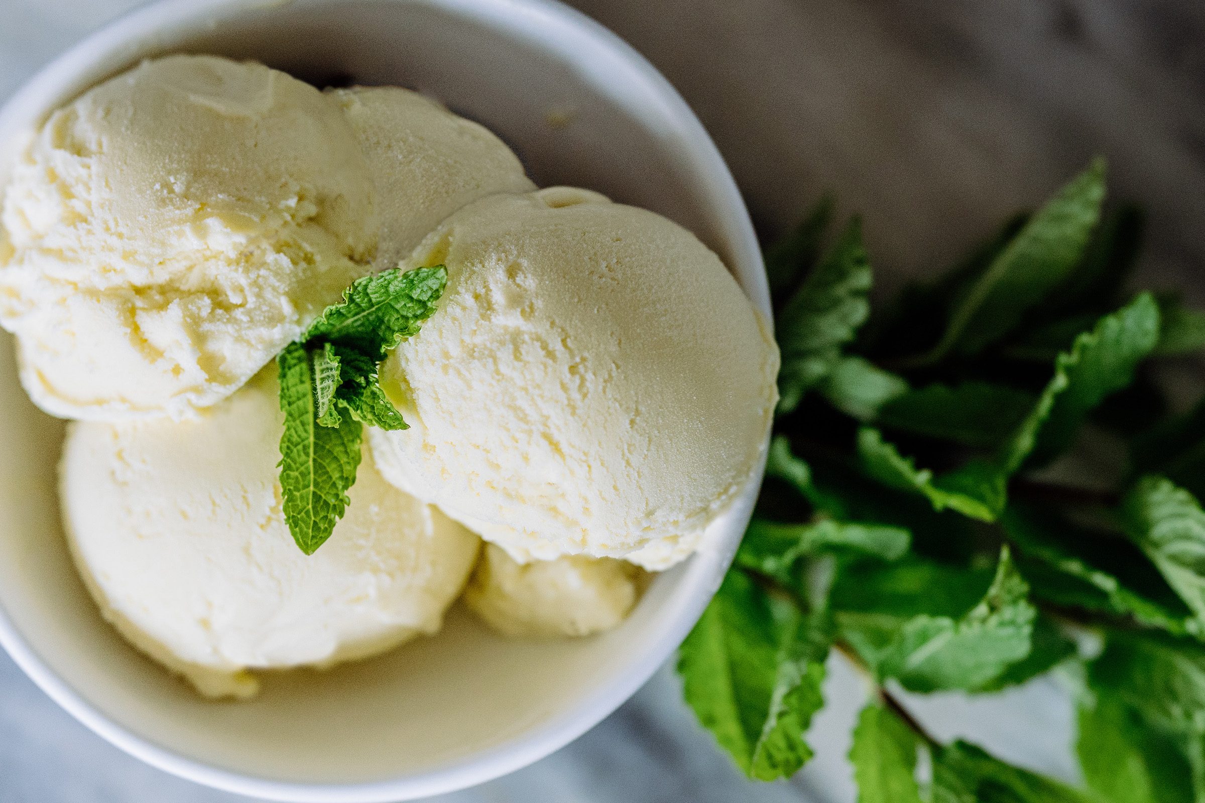 Mint Gelato - Blanc Pignon